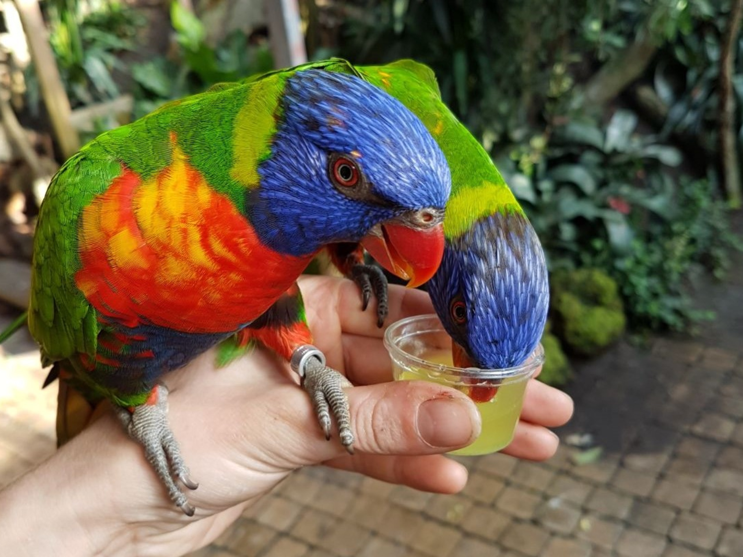 Texel Zoo - VVV Texel