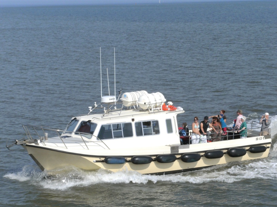 Het Sop Seal tours | VVV Texel
