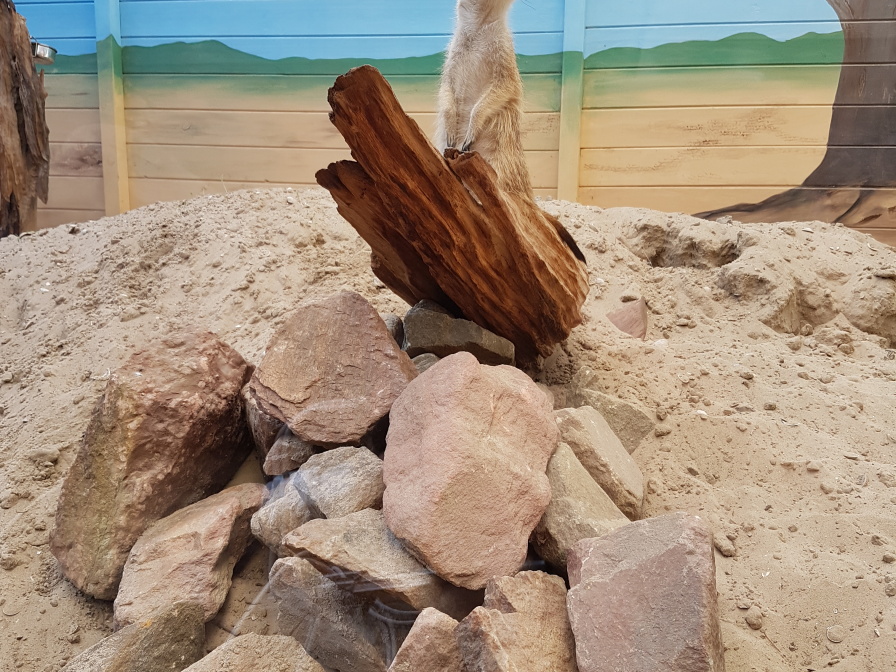 Texel Zoo - VVV Texel